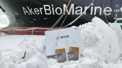 “Antarctic Provider”NYO3号南极补给船今日启航_推荐_i黑马